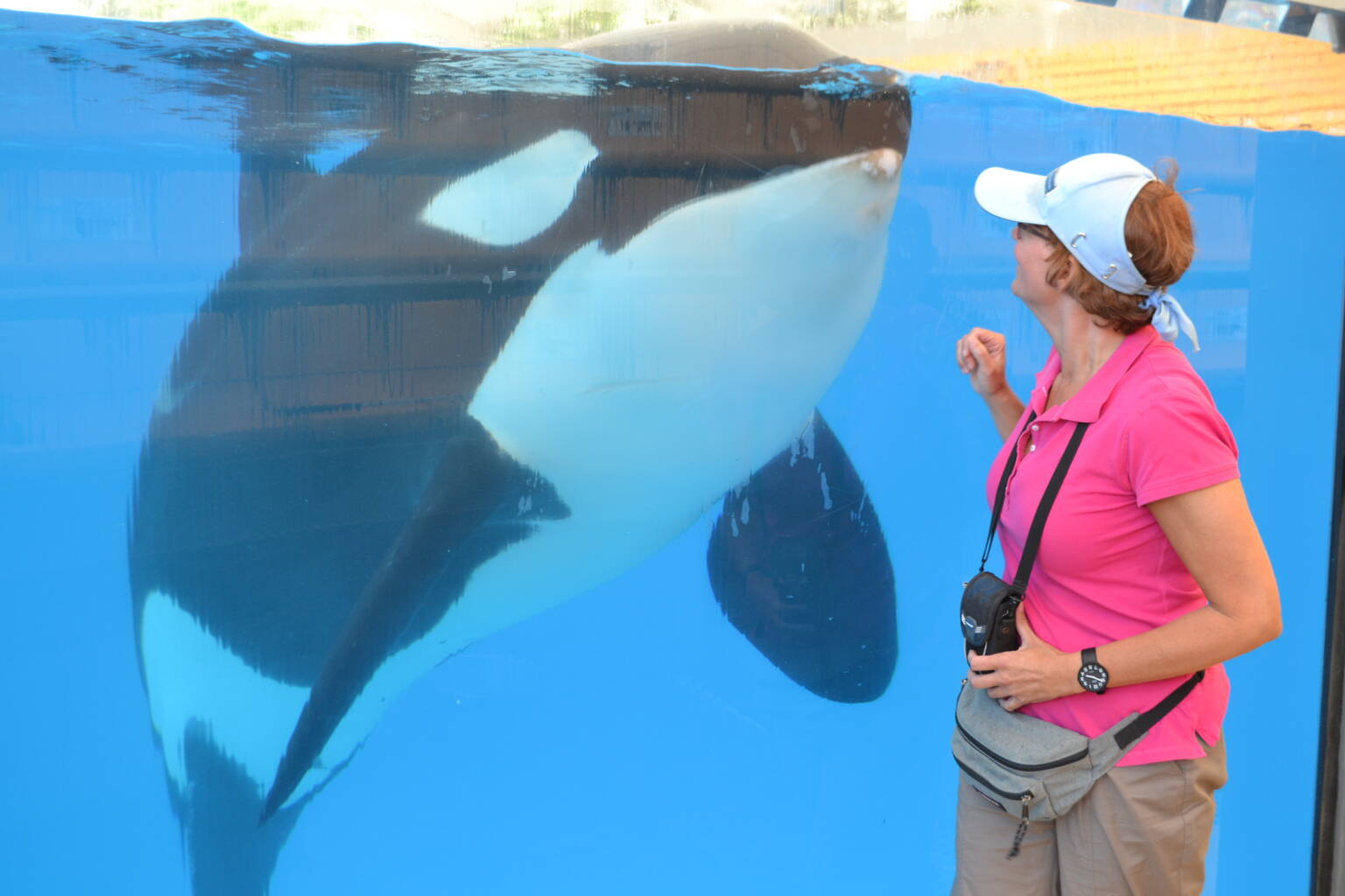 Morgan and Miranda: a story of a friendship beyond borders • Loro Parque