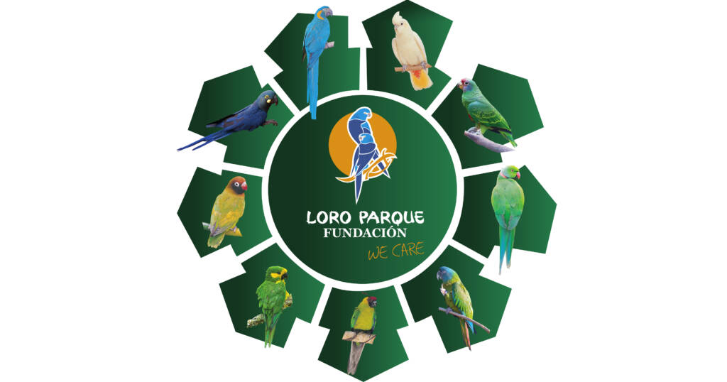 Loro Parque Fundación blog category