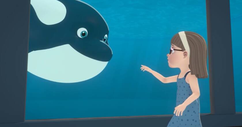 Estreno cortometraje sobre la orca Morgan - Loro Parque