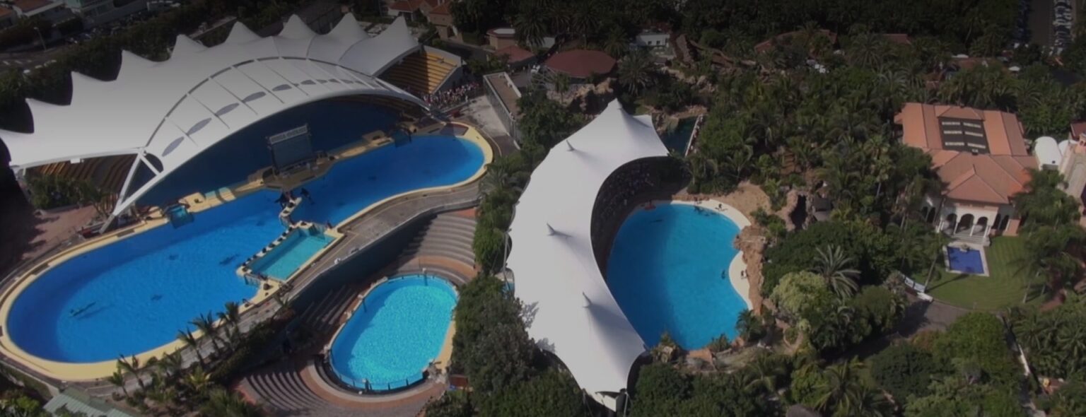 Learn about Loro Parque - Animal Embassy • Loro Parque