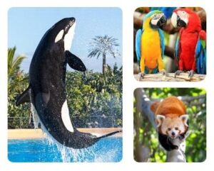 ¡Bienvenid@s a Loro Parque!