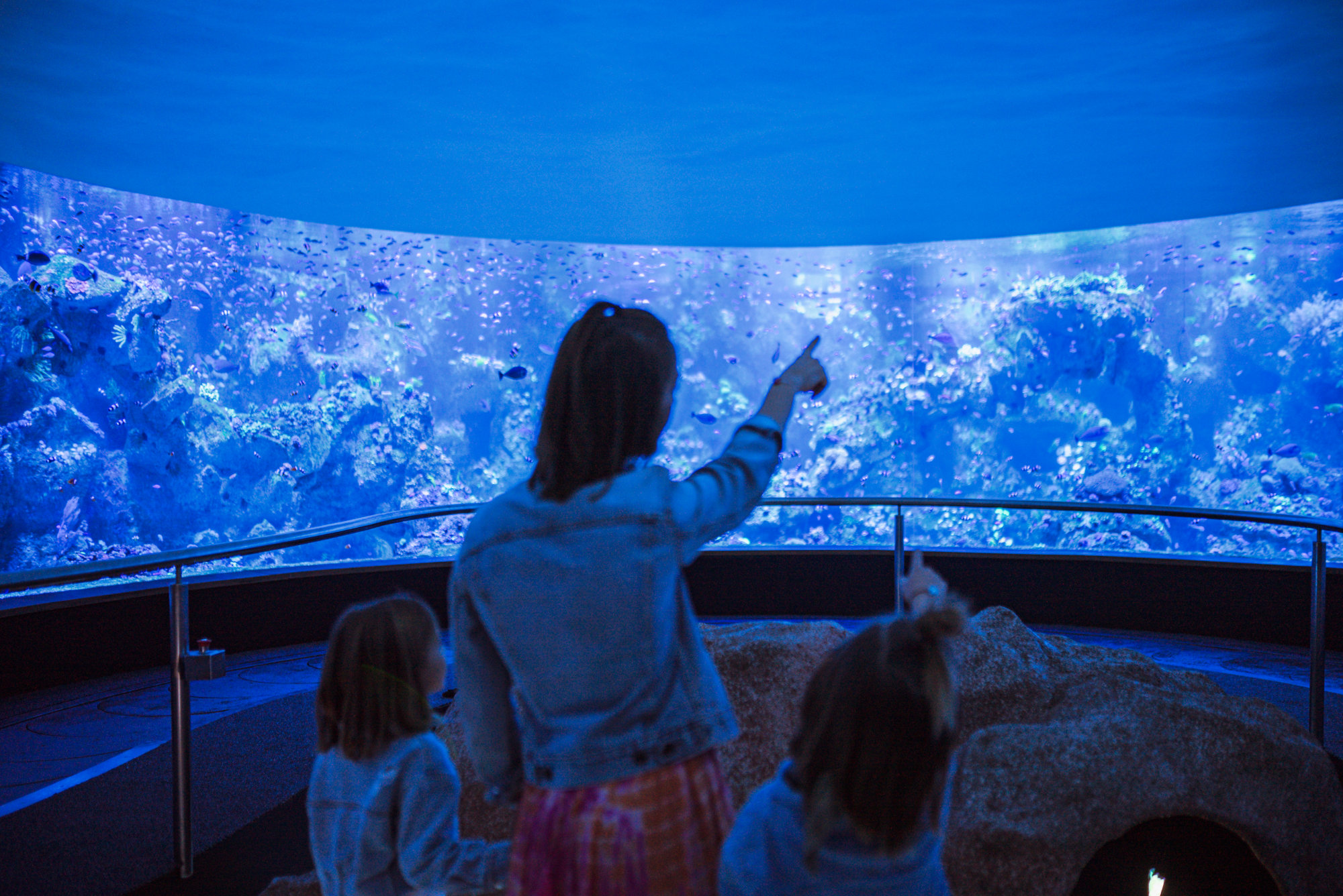 Loro Parque presents Coral Kingdom, an immersive experience in the ...