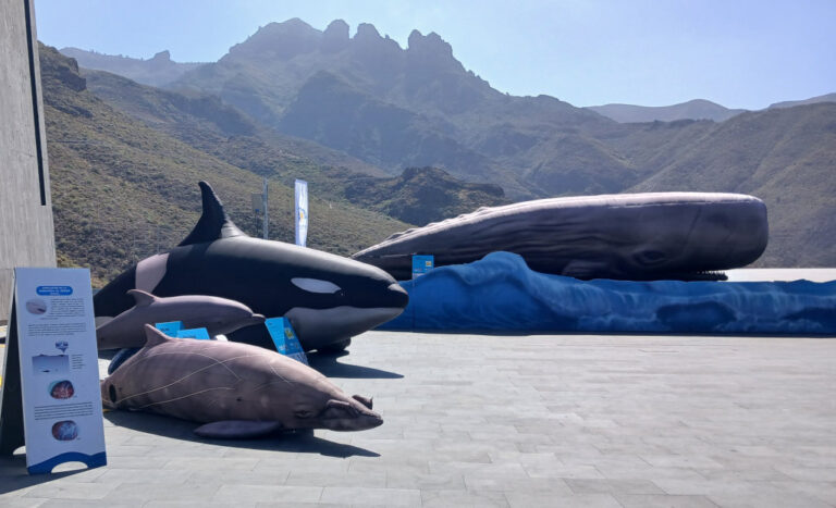 Loro Parque and Puerto de la Cruz Town Hall, united for culture at ...