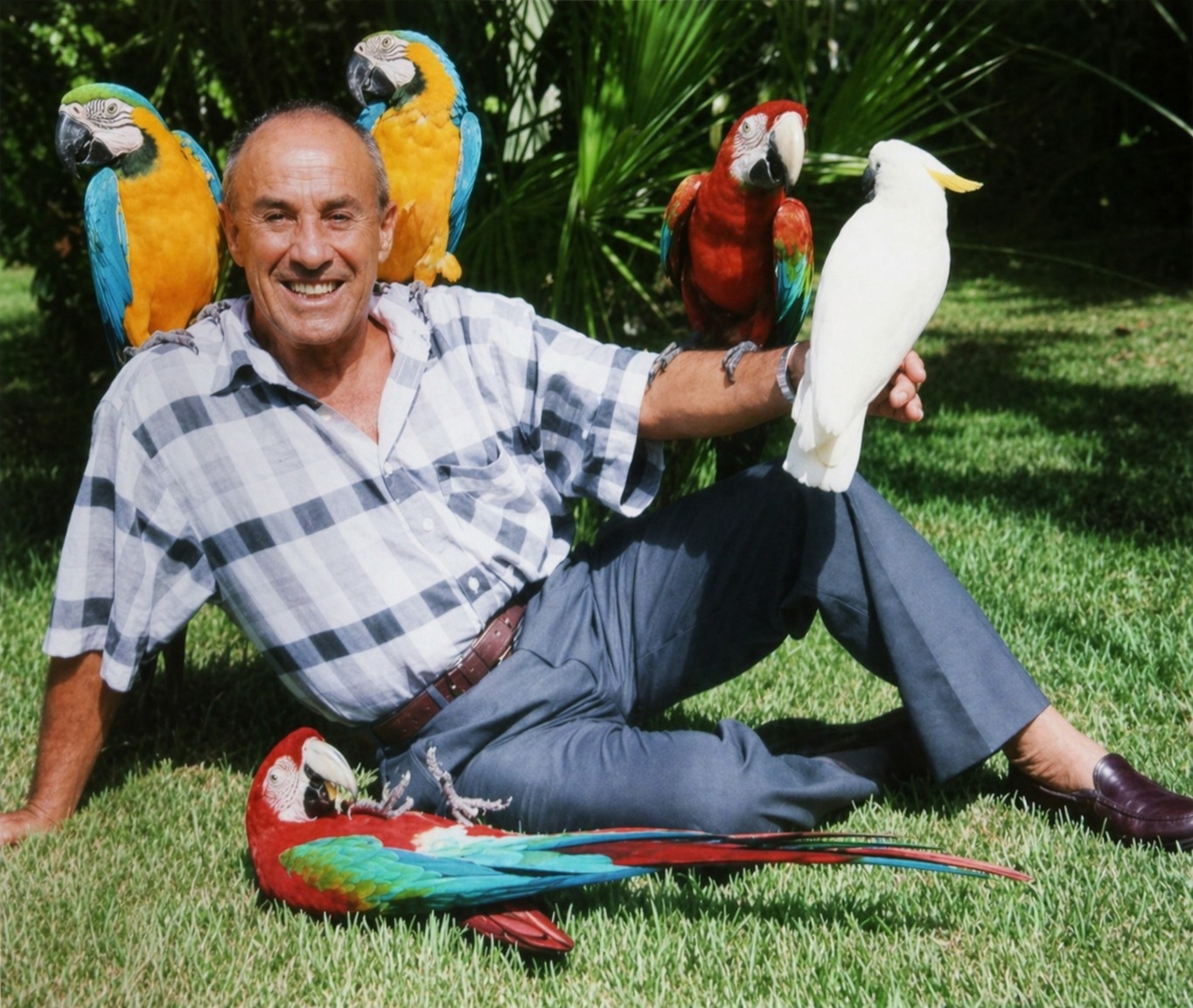 César Manrique and Loro Parque: the legacy of an alliance that ...
