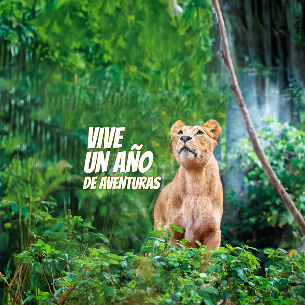 Compra aquí tus Entradas para Loro Parque | Sitio Web Oficial